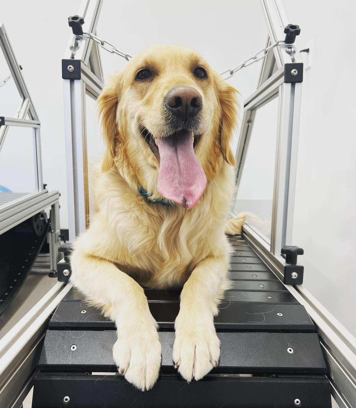 Home | Bark & Bubbles Boutique + Blowdry Bar